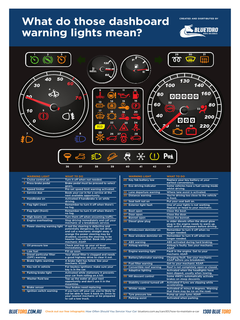 What Do Those Dashboard Warning Lights Mean Infographic | PDF