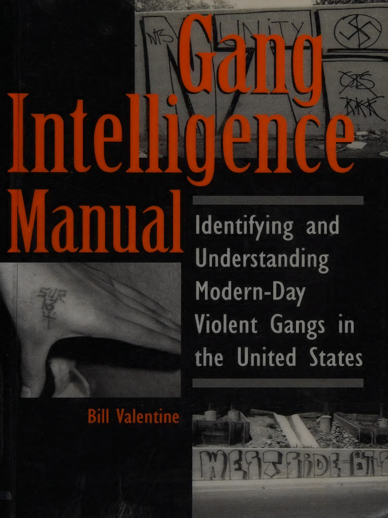 Gang Intelligence Manual Ldentifying and Understanding Modern Day ...