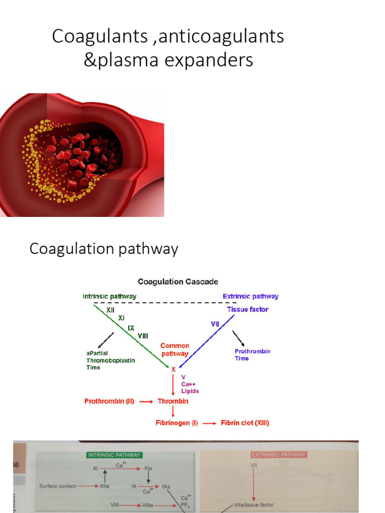 Coagulants, Anticoagulants &plasma Expanders-Shyma | PDF