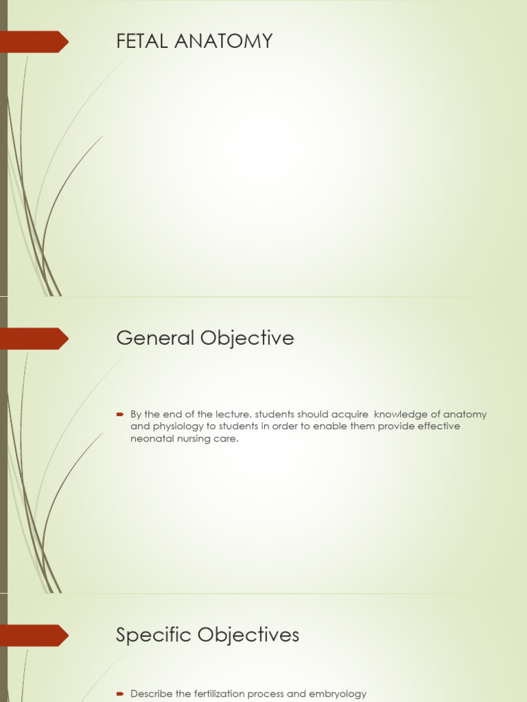 FETAL ANATOMY LECTURE NOTES | PDF