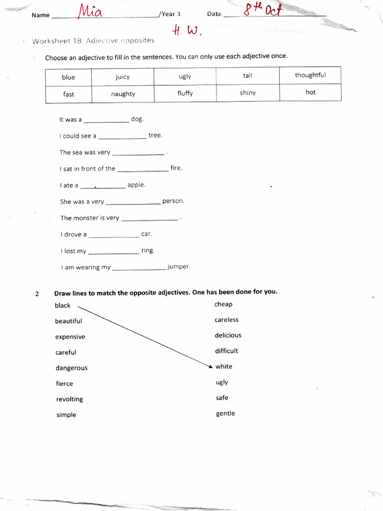English Worksheet 1 | PDF