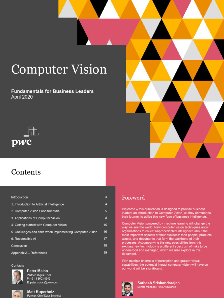 PWC Computer Vision Fundamentals For Business Leaders | PDF