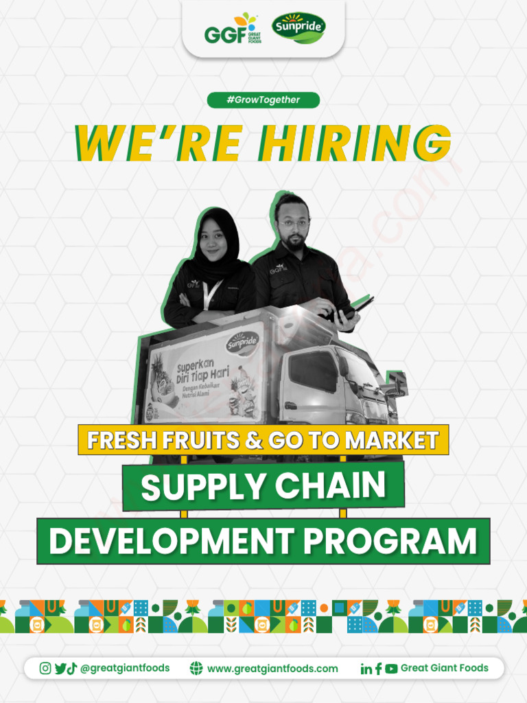 Supply Chain Development Program | PDF