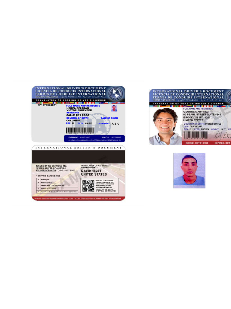 Driver Document | PDF