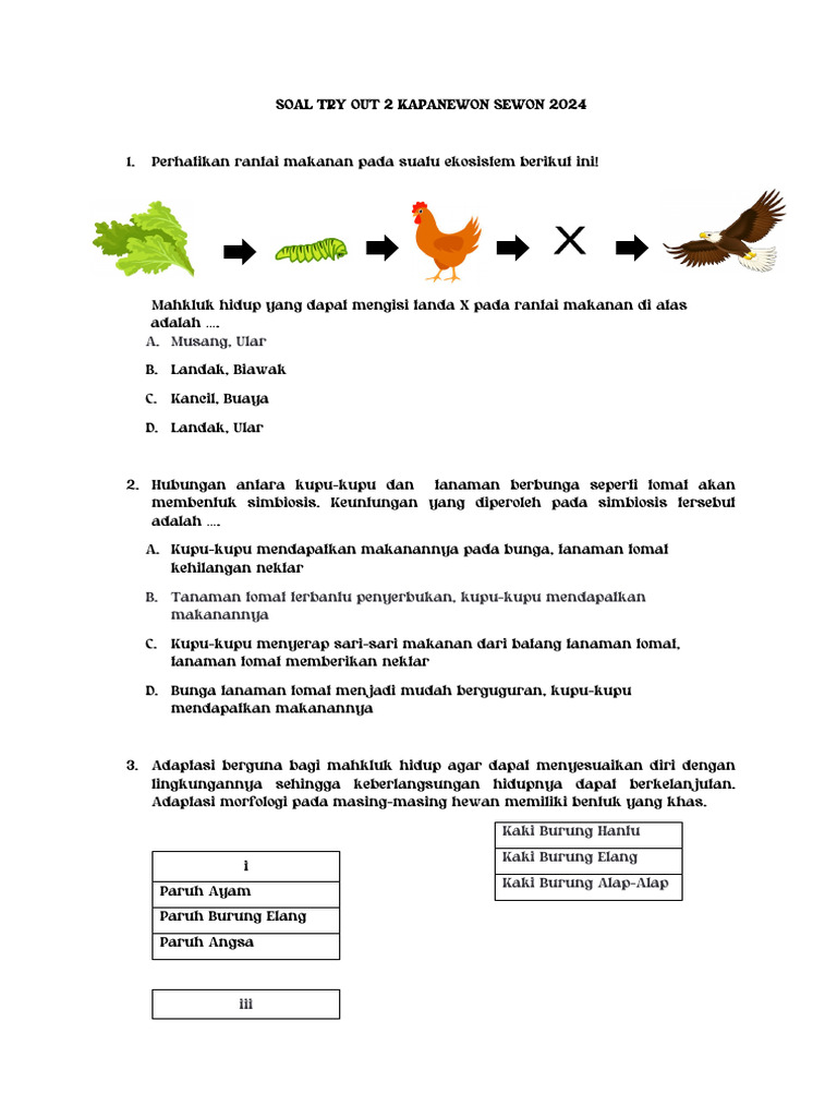 Soal Ipa Try Out 2 Kapanewon Sewon 2024 | PDF