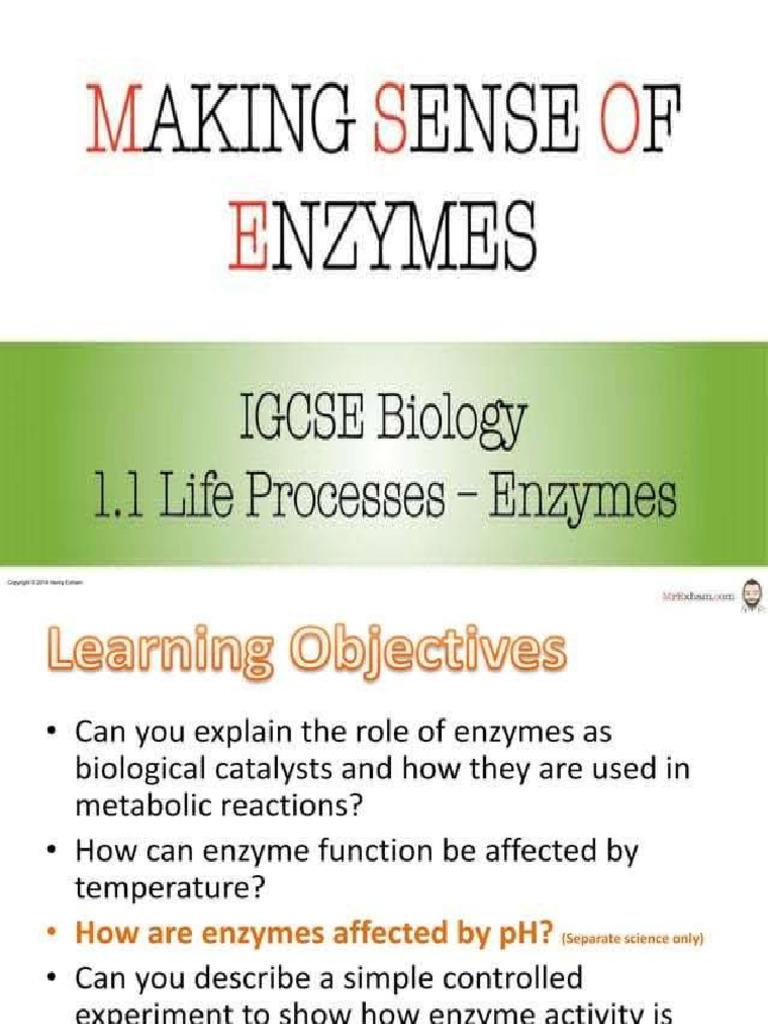 Enzymes-igcse-ppt. | PDF