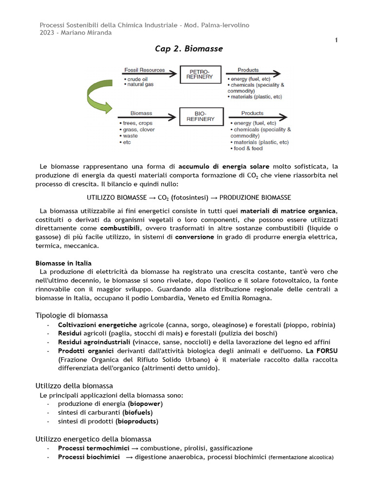 PS.IP (2) Biomasse - Documenti Google | PDF