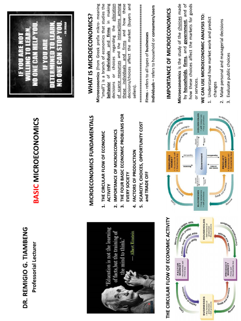 BASIC MICRO PRINT | PDF BASIC MICRO PRINT | PDF