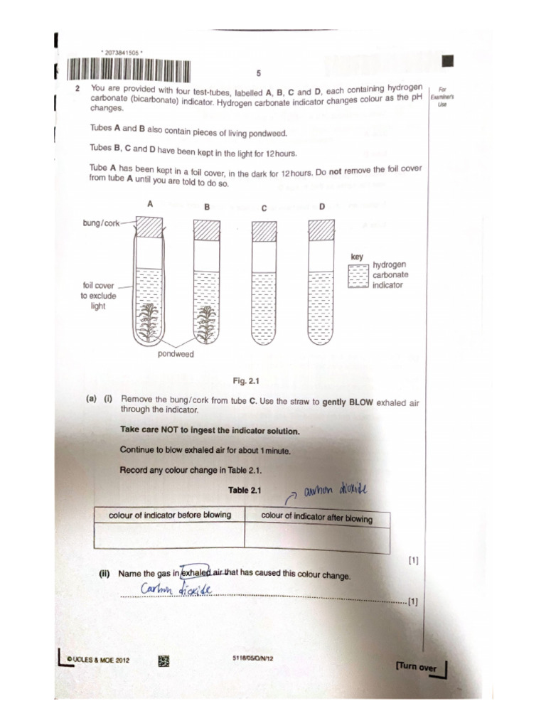 Paper 5 2013 Combined Science | PDF