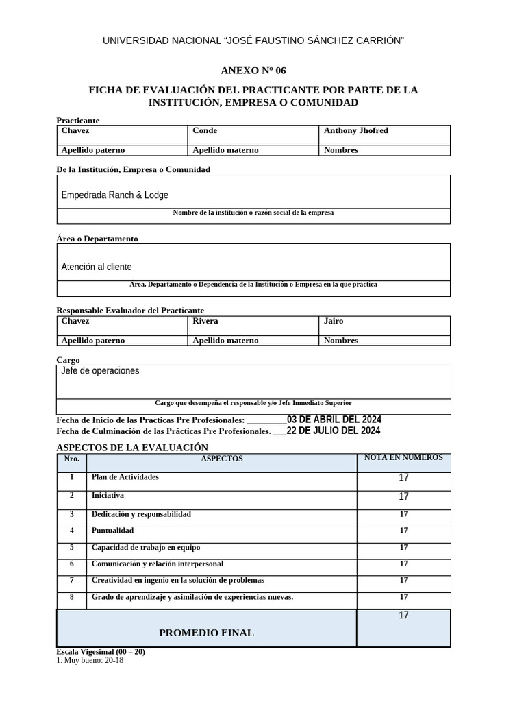 Formato Anexo 06 IV | PDF