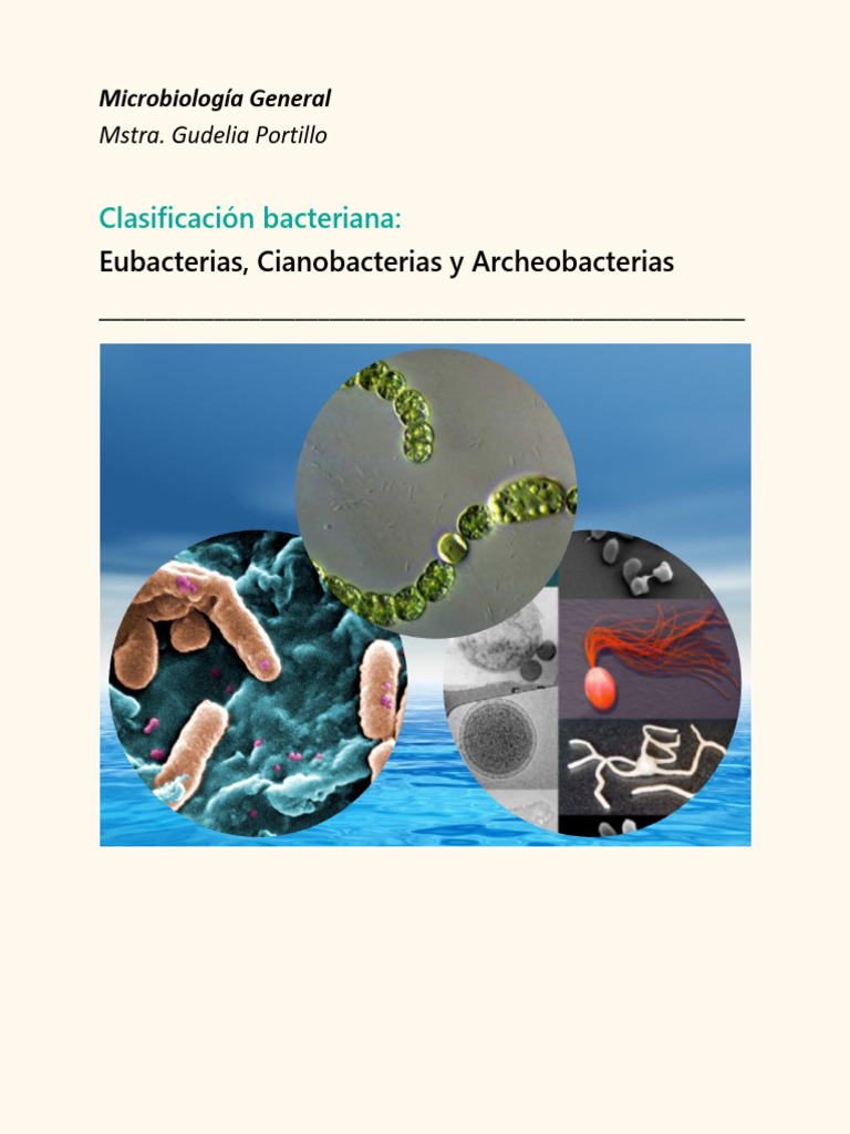 Unidad 3 Semana 2 | PDF