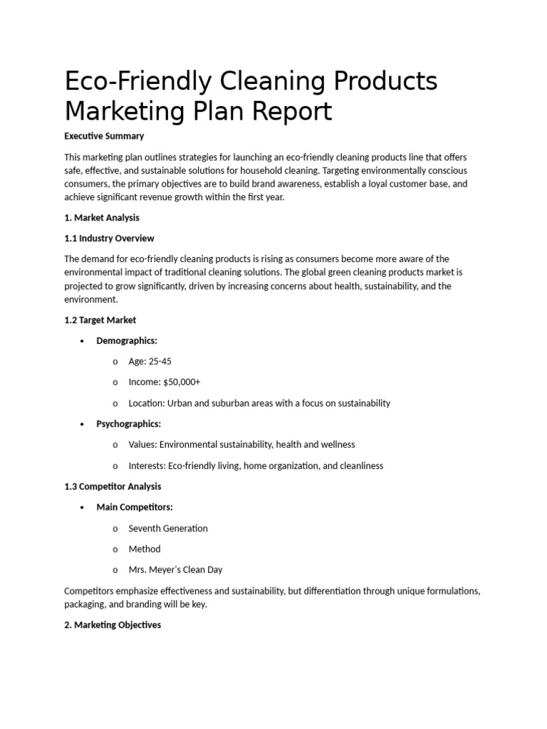 Eco-Friendly Cleaning Products Marketing Plan Report | PDF