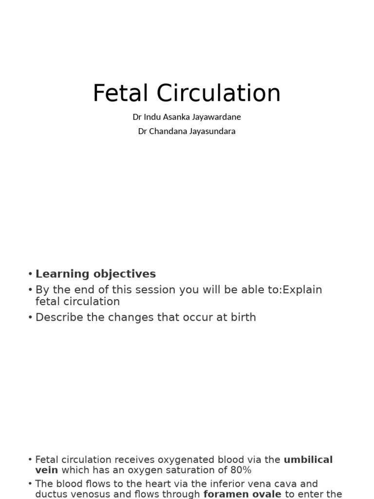 Fetal Circulation | PDF