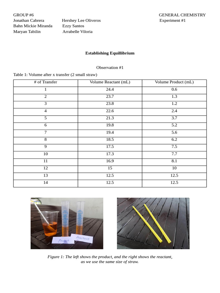Group 6 Chemistry Experiment | PDF | Chemical Equilibrium | Chemical ...