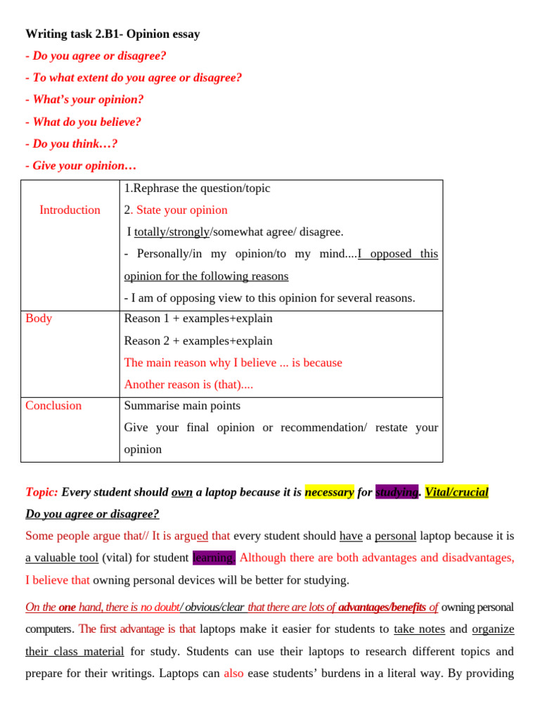 12.opinion. Laptop | PDF