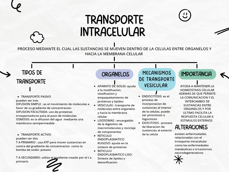 Transporte Intracelular | PDF