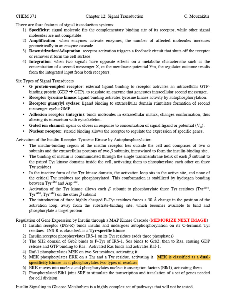 371 - Chapter 12 Outline | PDF