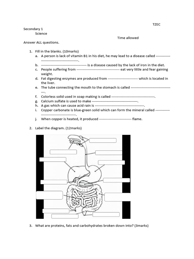 TZEC Secondary 1 OCT Test | PDF