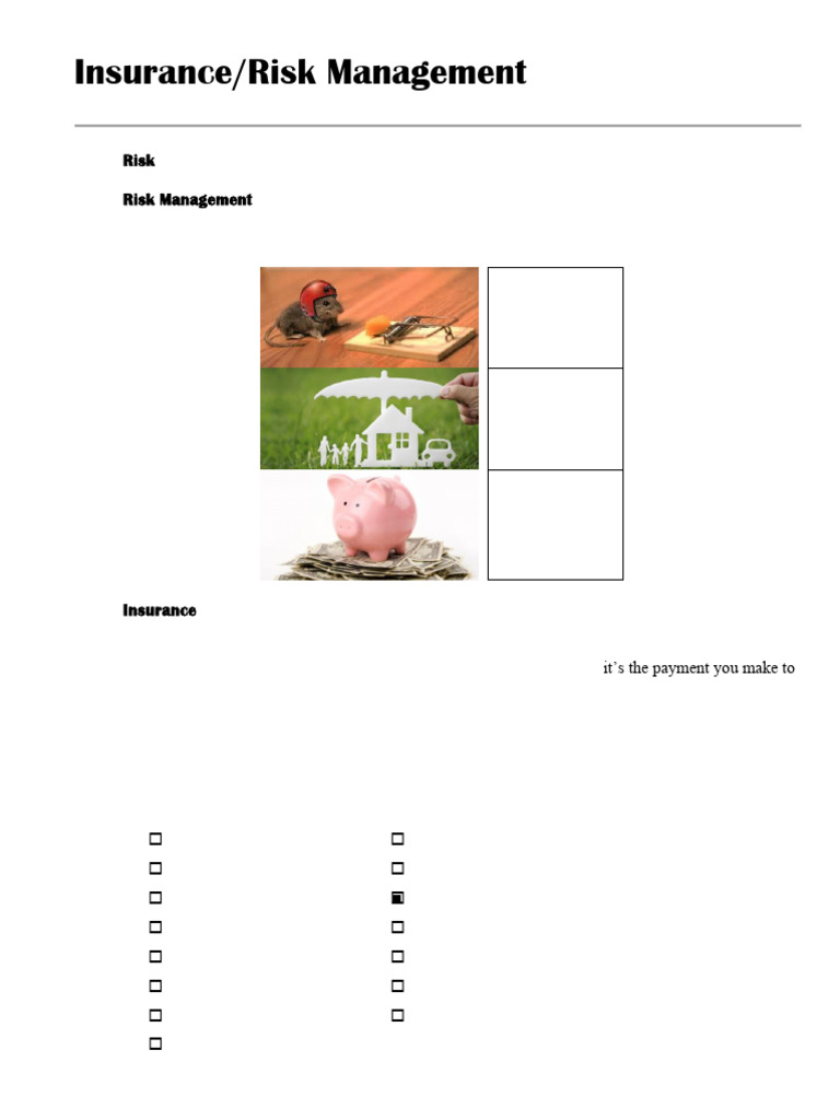 Insurance & Risk Management NG | PDF