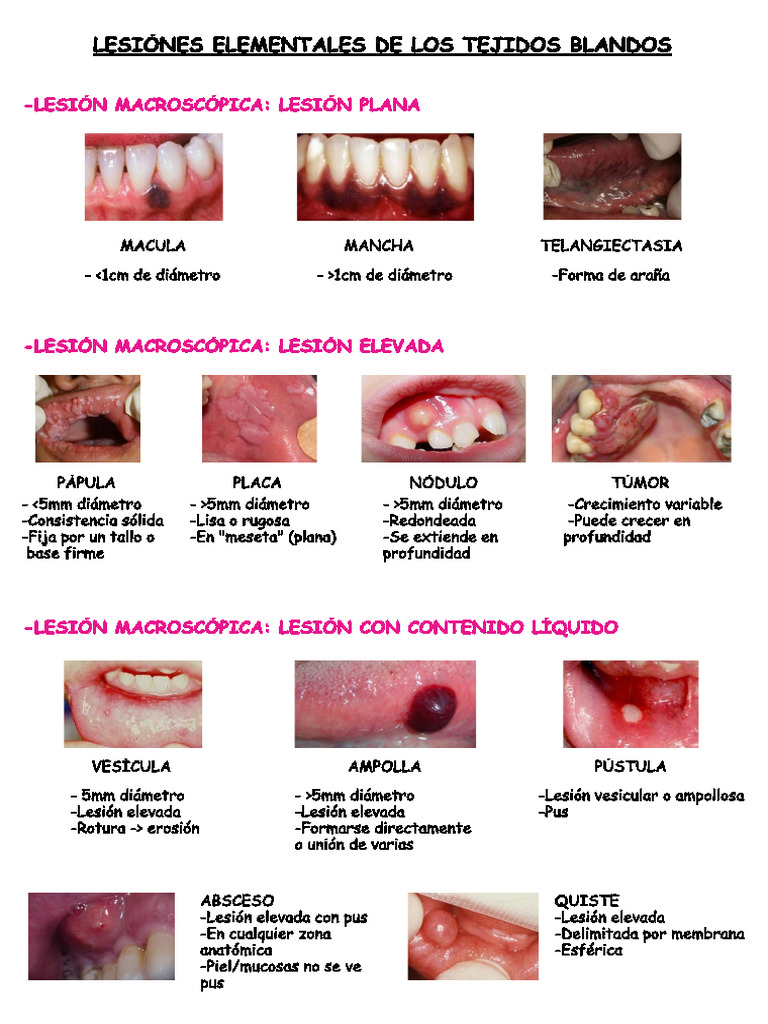 LESIONES TEMA 8 (Imagenes) | PDF