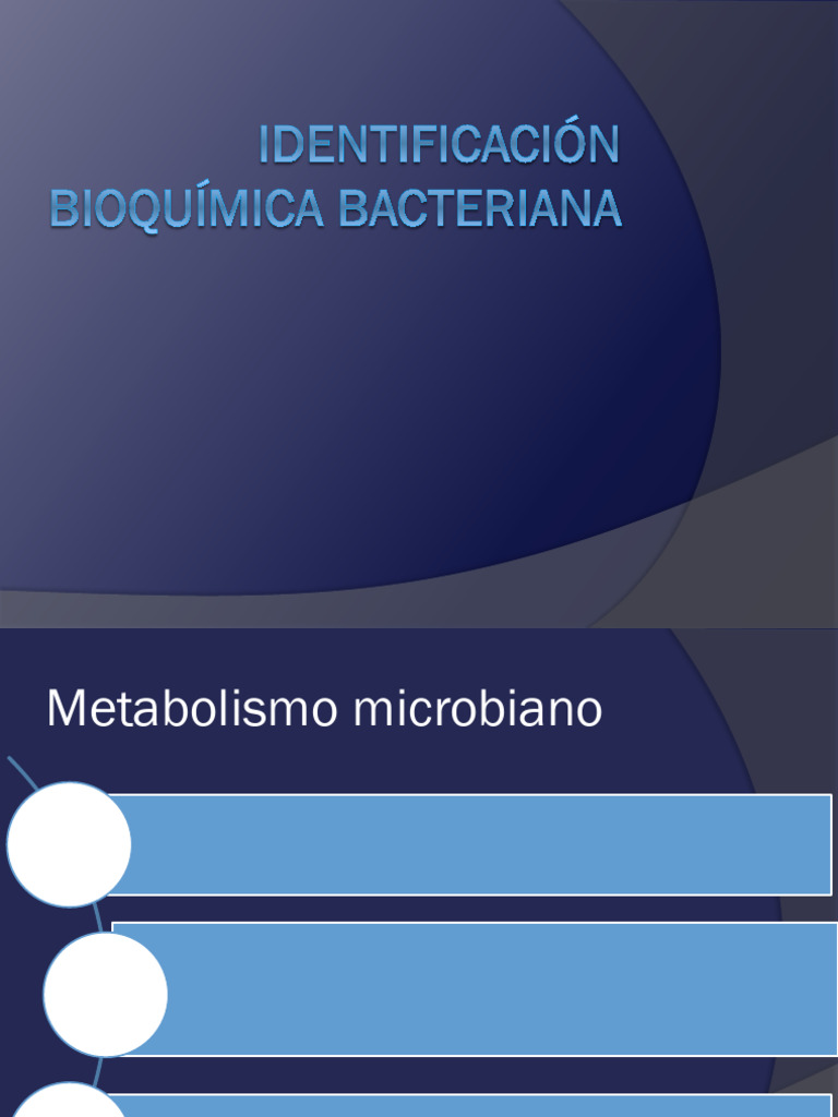 2020 Identificacion Bioquimica PDF | PDF