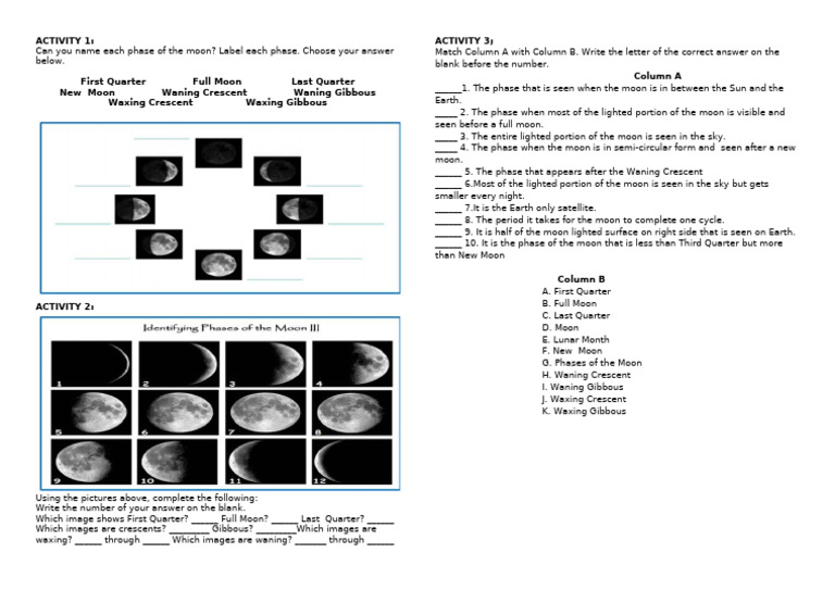 ACTIVITY - Phases of The Moon | PDF