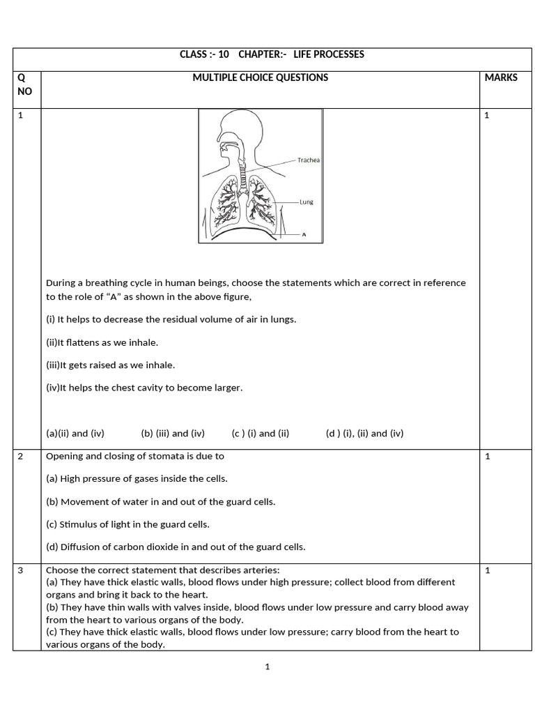 CLASS 10 LIFE PROCESSES e CONTENT by Seema Saraswat | PDF