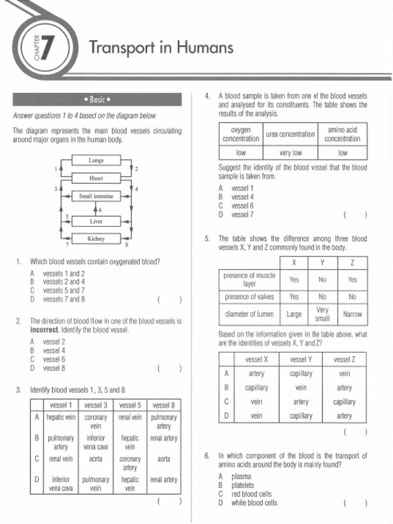 L5. Circulatory System QP | PDF