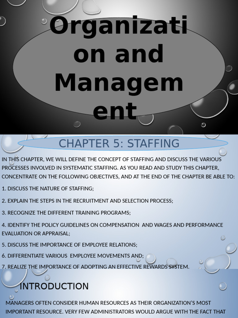 Organizati On and Managem Ent | PDF