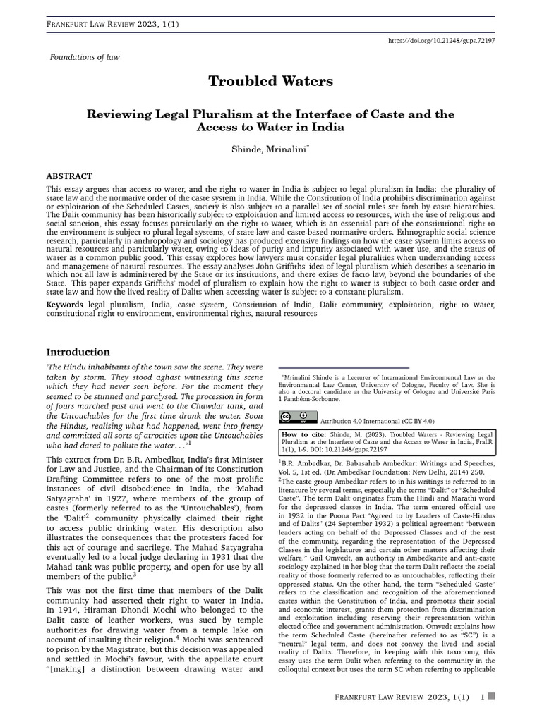 Shinde Troubled Waters | PDF