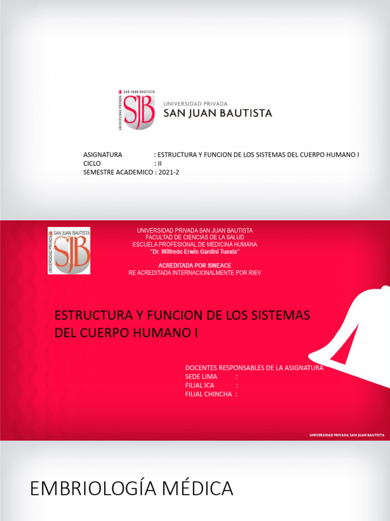 Ilovepdf Merged | PDF