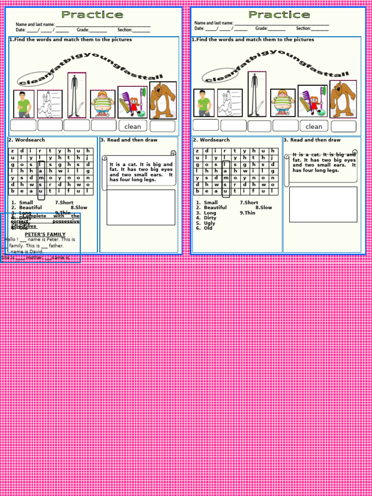 Calificative Adjectives | PDF