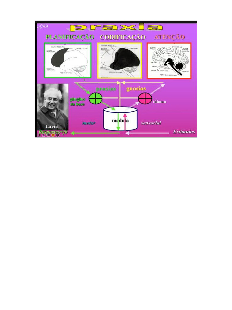 Praxia e Unidades de Luria | PDF