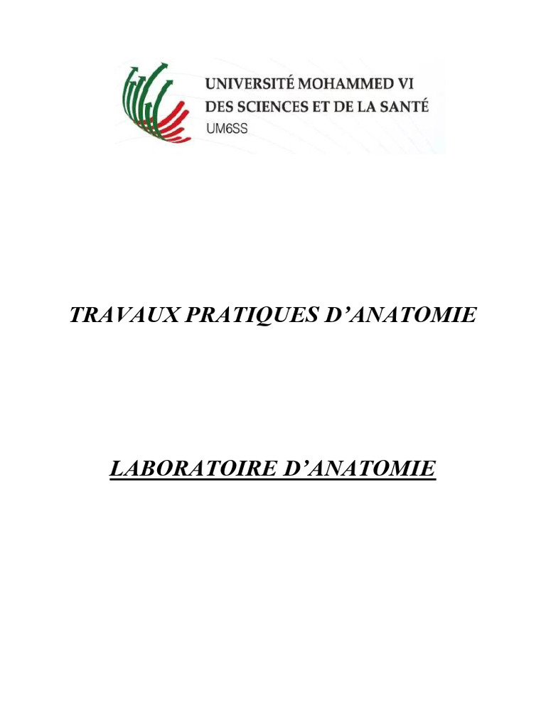 Polycopié de TP | PDF