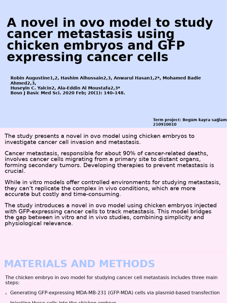 İn Ovo Cancer Applications | PDF