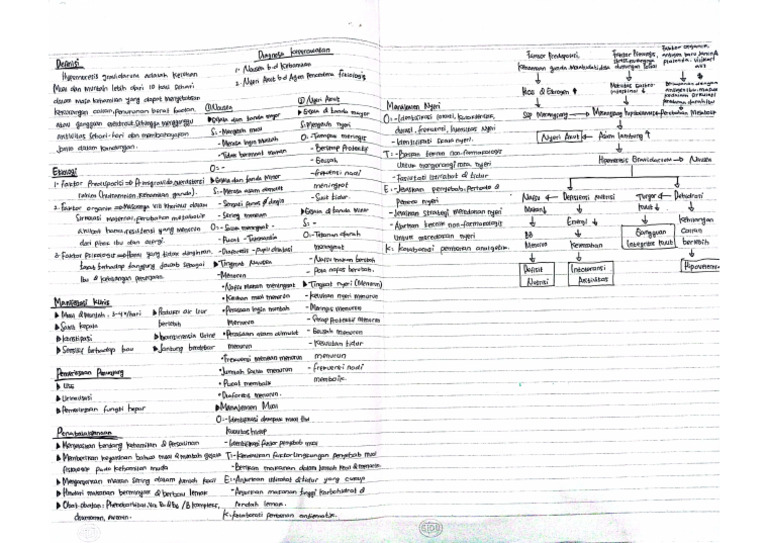 Woc Mater Heg 25-09-2024 20.22 | PDF