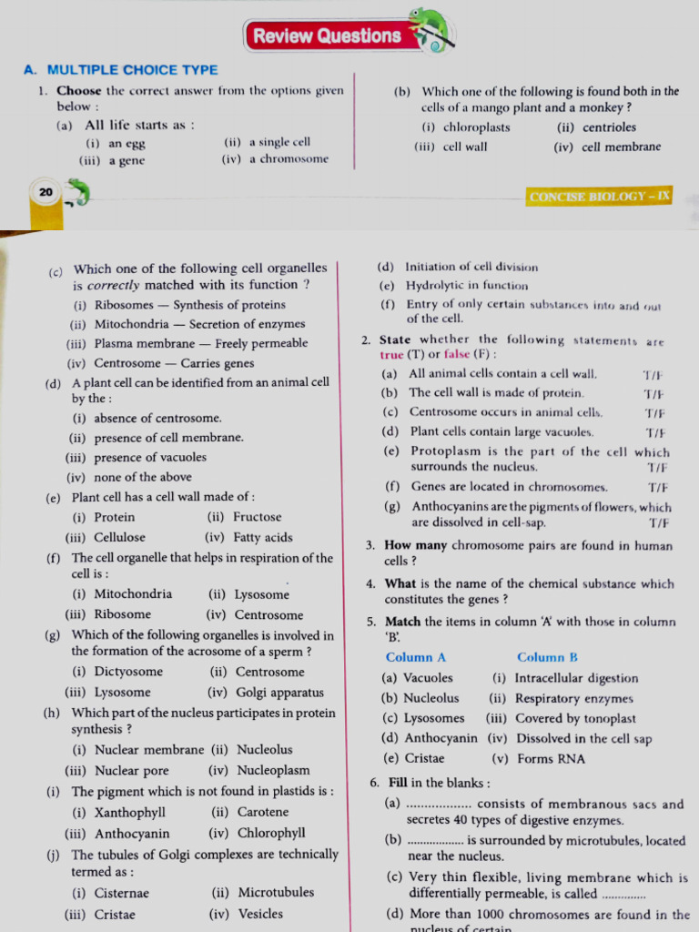 Biology Concise Selena Class 10 Chapter 1 Exercise | PDF