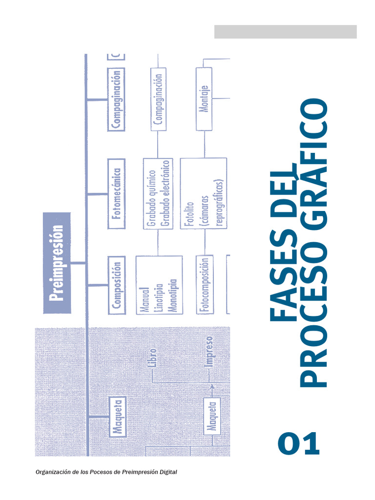01 - Fases Del Proceso Gráfico | PDF | Impresión | Color