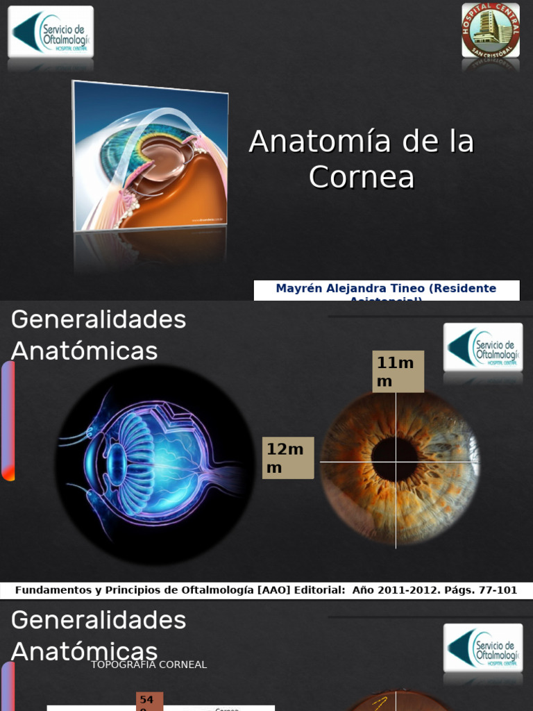 Anatomia Cornea | PDF