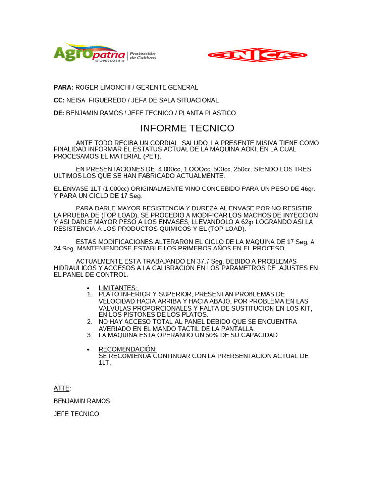 Informe Tecnico | PDF