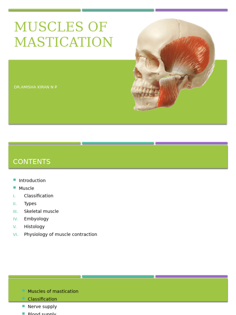 Muscles of Mastication Amisha | PDF