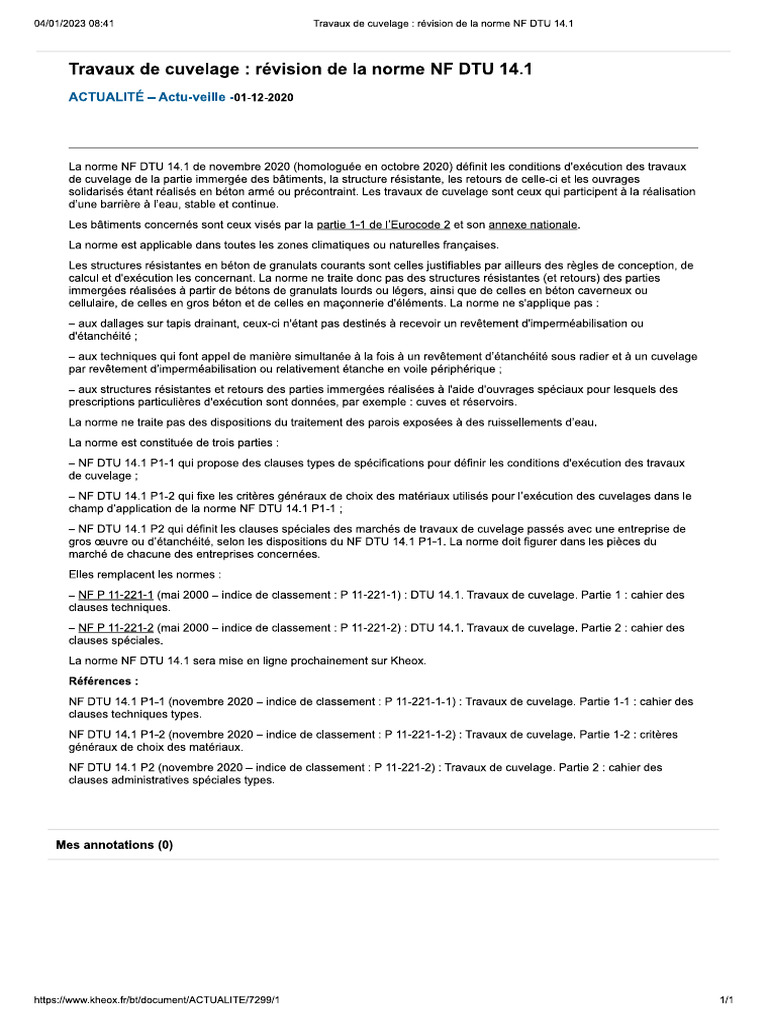 Travaux de Cuvelage - Révision de La Norme NF DTU 14.1 | PDF