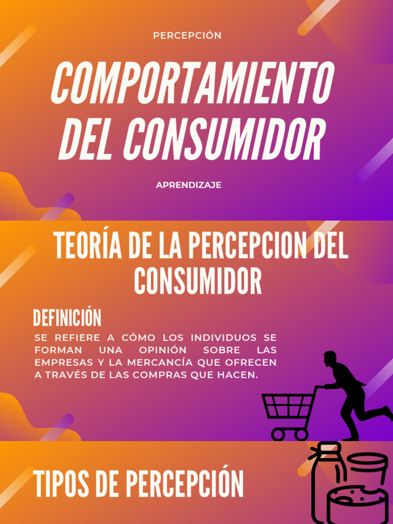 Comportamiento Del Consumidor | PDF