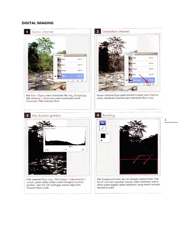 Digital Imaging - 2 | PDF