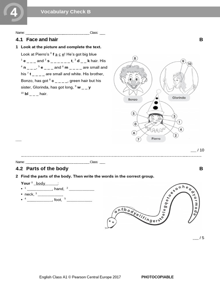 Vocabulary Check 4B | PDF
