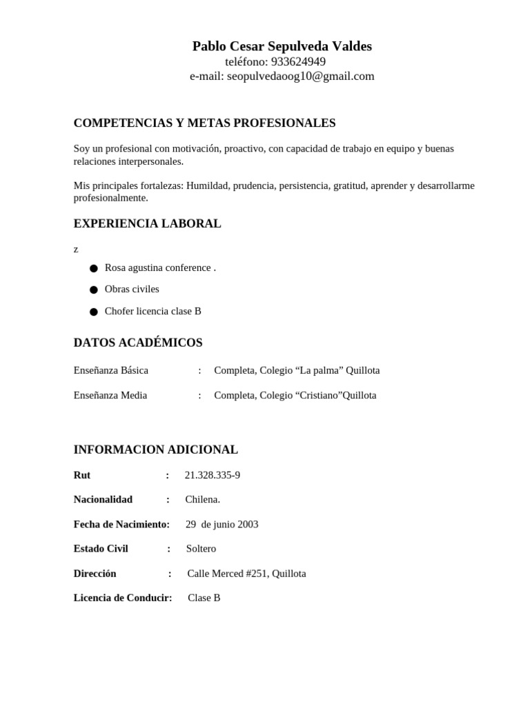 Curriculum Pablo Sepulveda | PDF