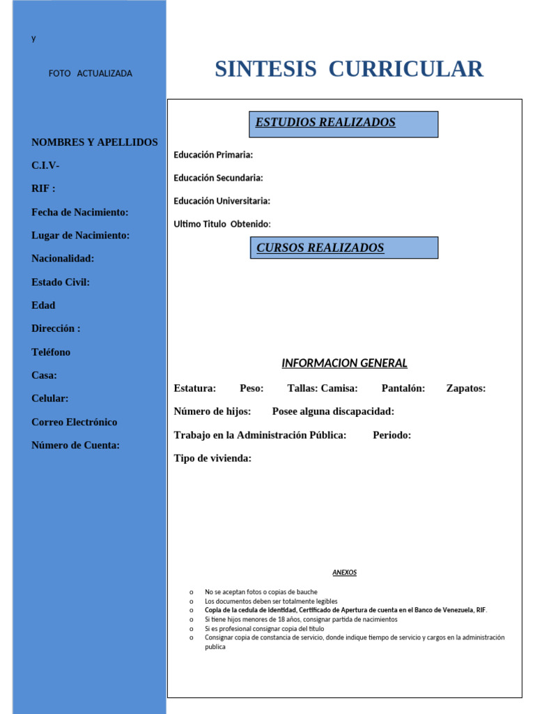 Modelo Sintesis Curricular | PDF