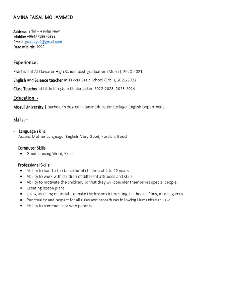 New 2amina Faisal CV - 2 | PDF