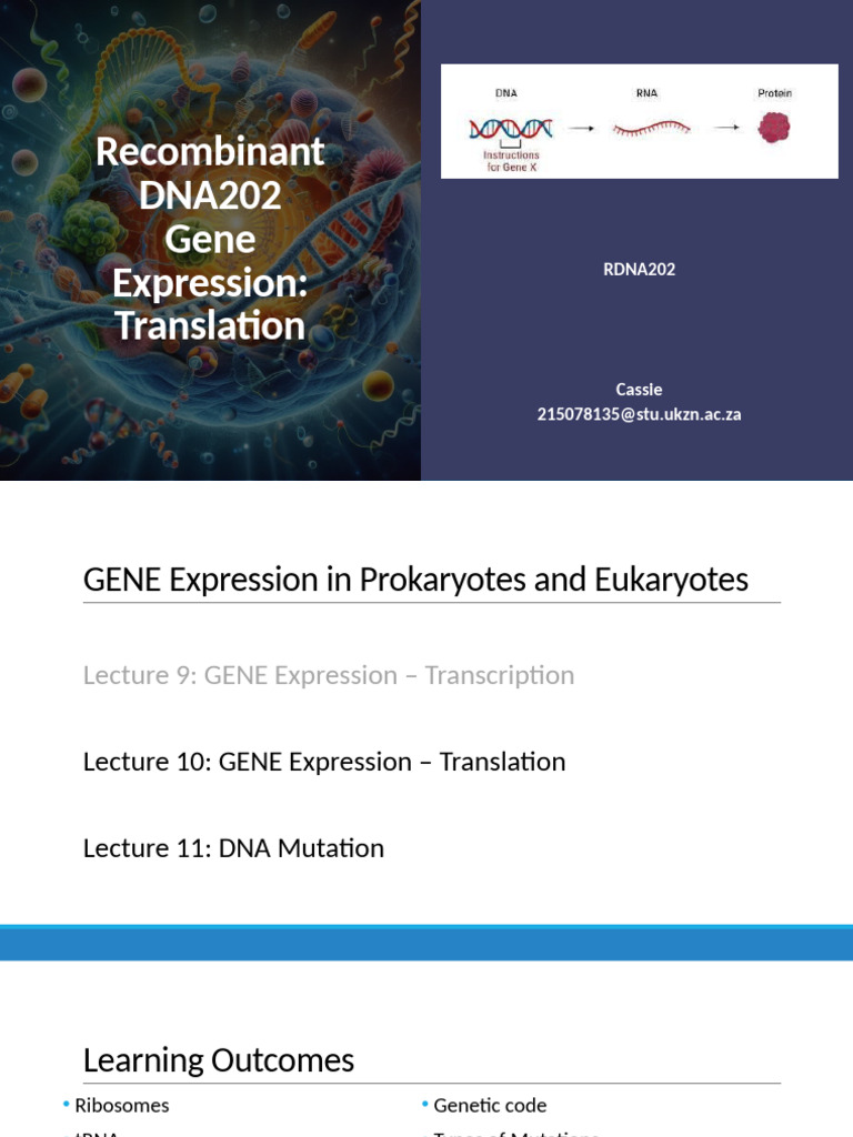 Lecture 10 11 Gene Expression in Prokaryotes and Eukaryotes | PDF ... Lecture 10 11 Gene Expression in Prokaryotes and Eukaryotes | PDF ...