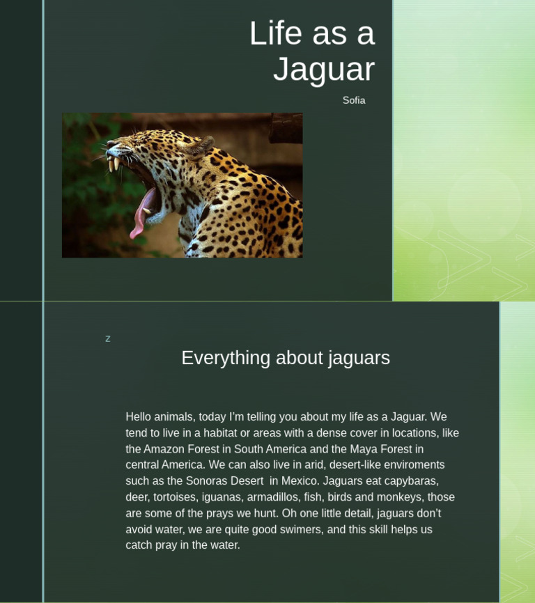 Life As A Jaguar | PDF